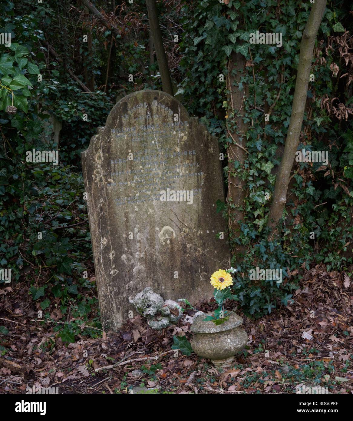 The grave of Sergeant Herbert Aldridge, died October 7th 1916 in the ...
