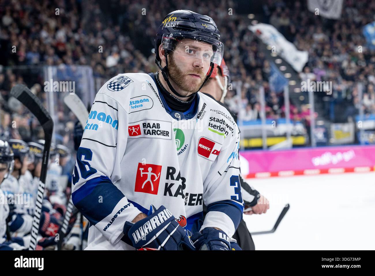Anthony Camara (Iserlohn Roosters, #36) sitting on the boards GER, EHC ...