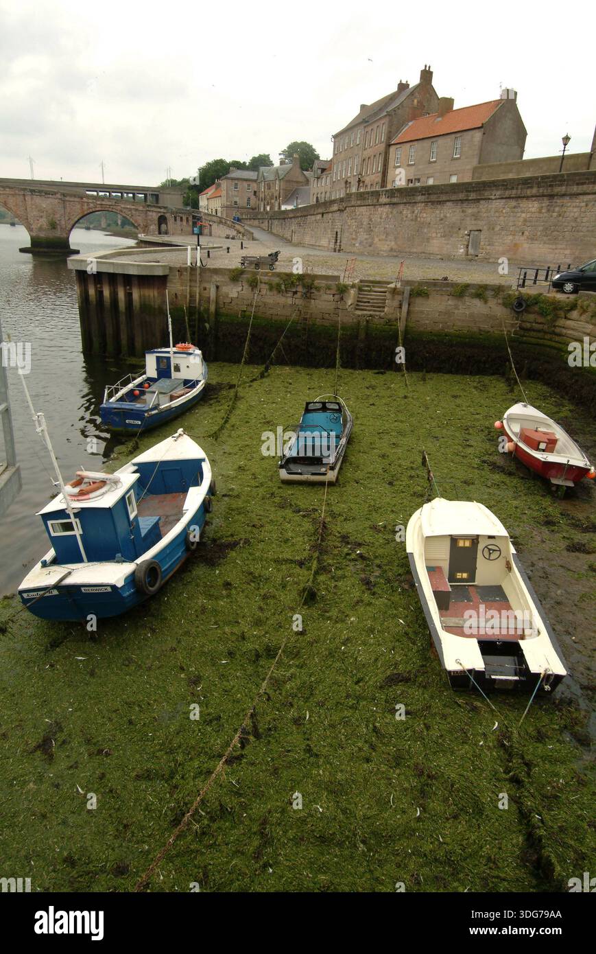 Berwick-Upon-Tweed, Quay with boats dry out at low tide. - Berwick upon ...