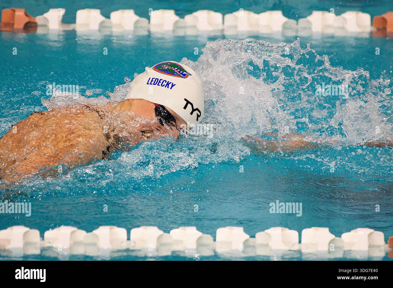 January 15, 2026: Katie Ledecky competing in the womenÕs 400 LC Meter ...