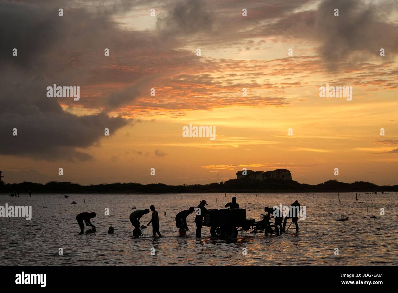 People work at the Salinas de Cumaraguas salt flats on the Paranguana ...