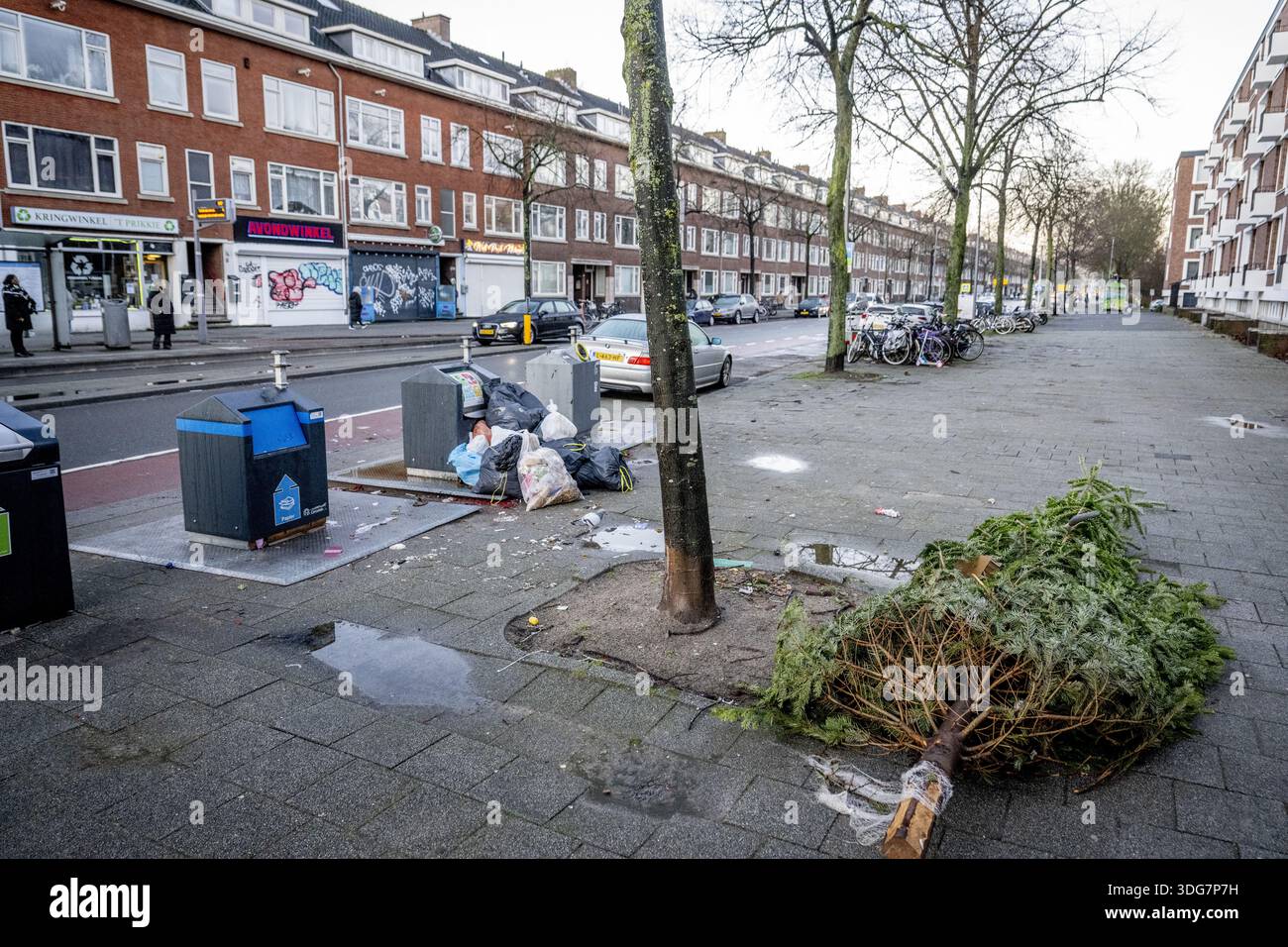 ROTTERDAM - Christmas trees in the household waste ROBIN UTRECHT /ANP ...