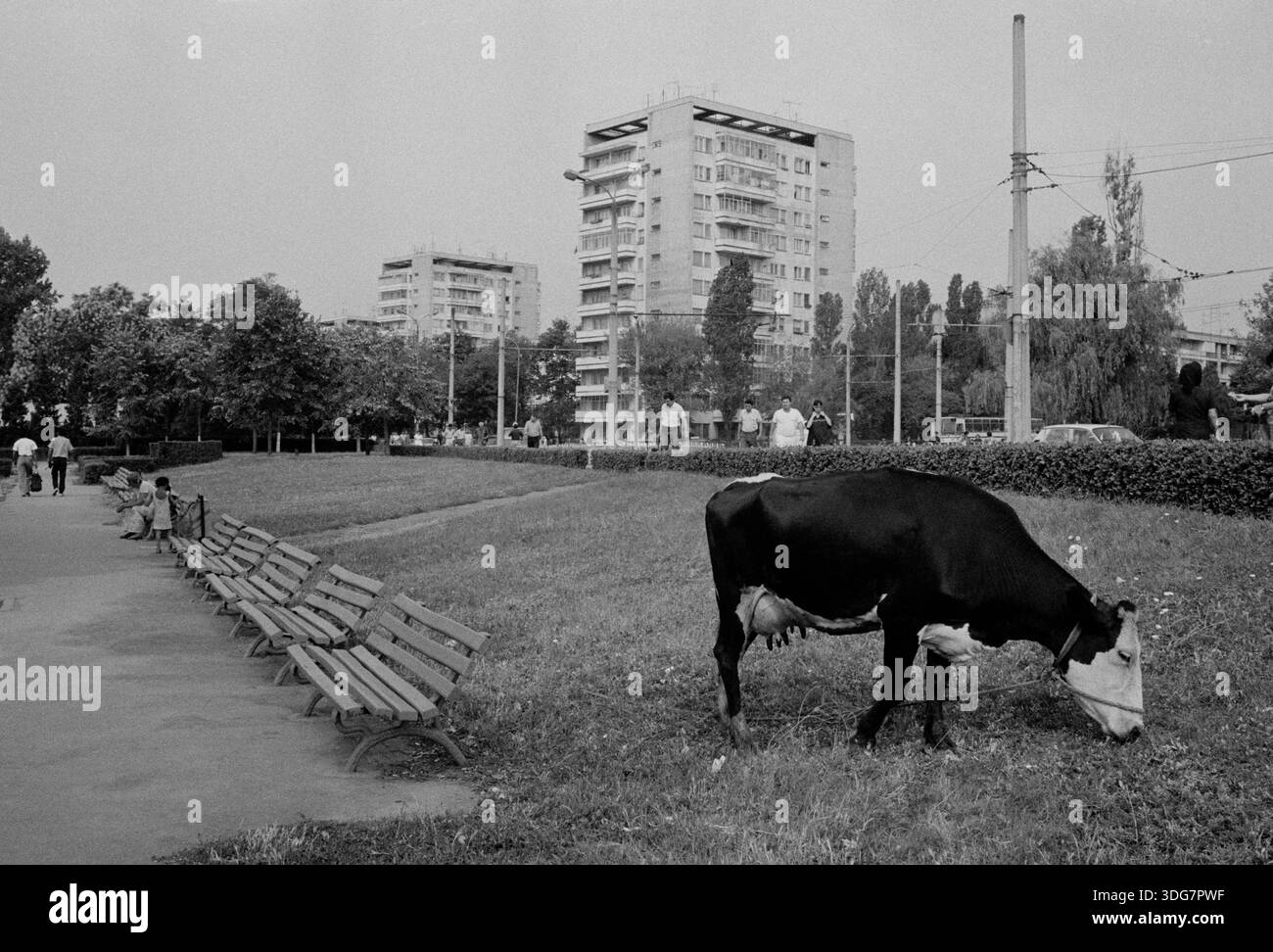 Photograph adaptation Black and White Stock Photos & Images - Alamy