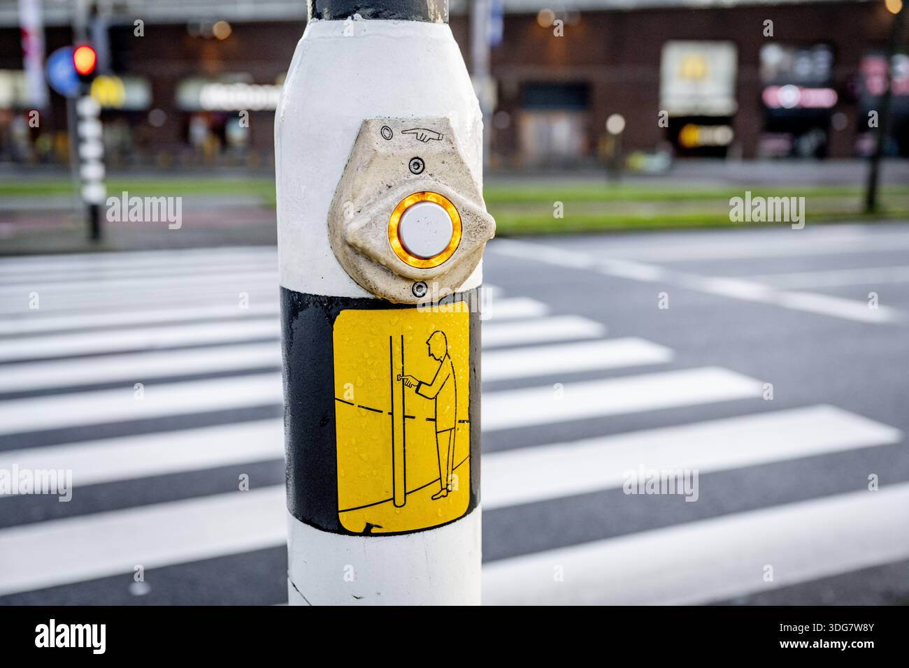 ROTTERDAM - A traffic light at a zebra crossing ROBIN UTRECHT /ANP ...