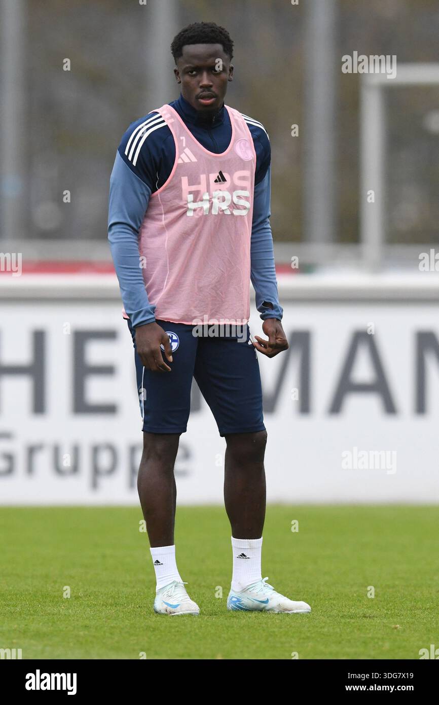 Christian Gomis ( Schalke 04 ). GER, Soccer, Second Bundesliga ...