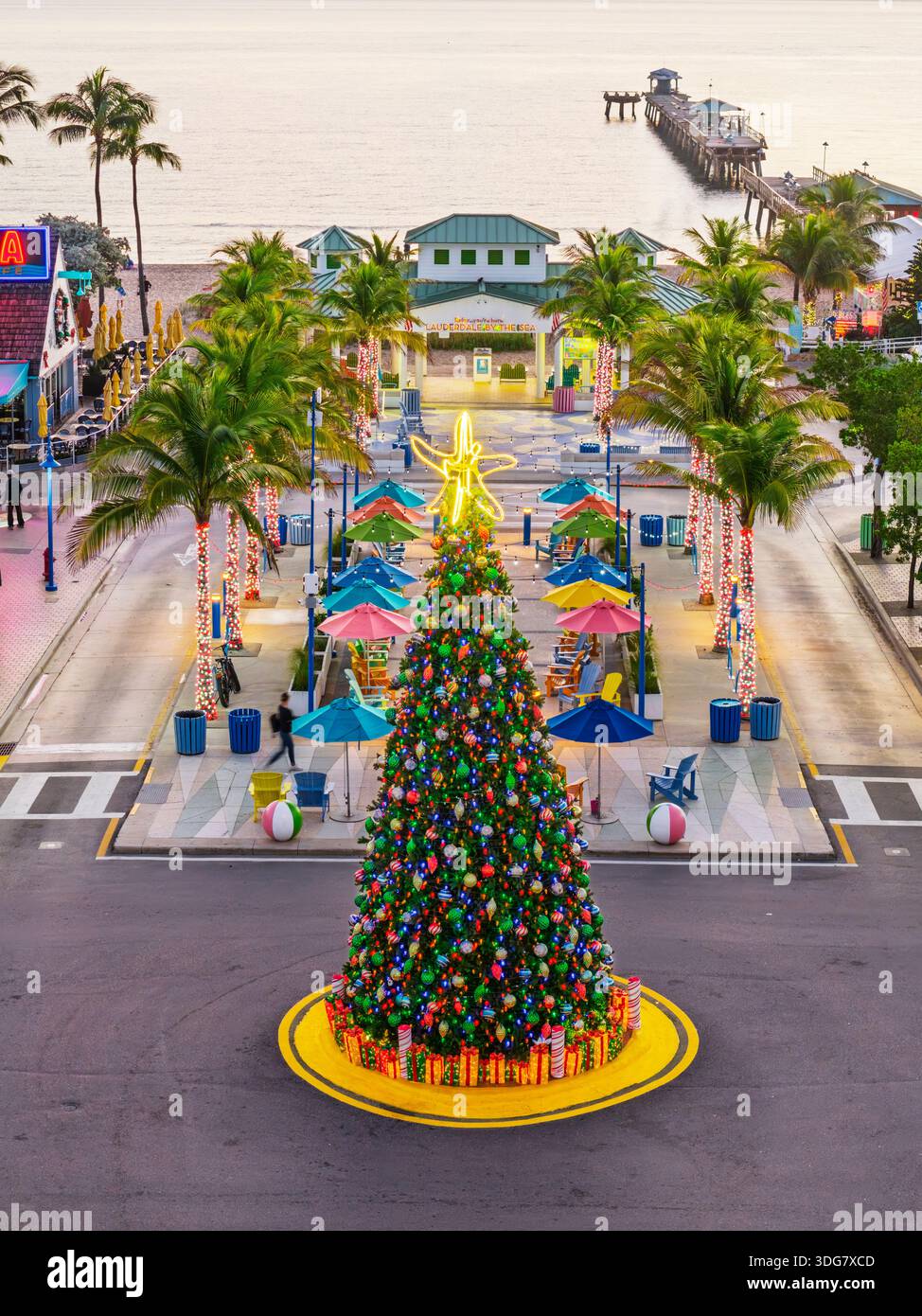 Aerial View of Lauderdale by the Sea, Decorated with a tall Christmas ...