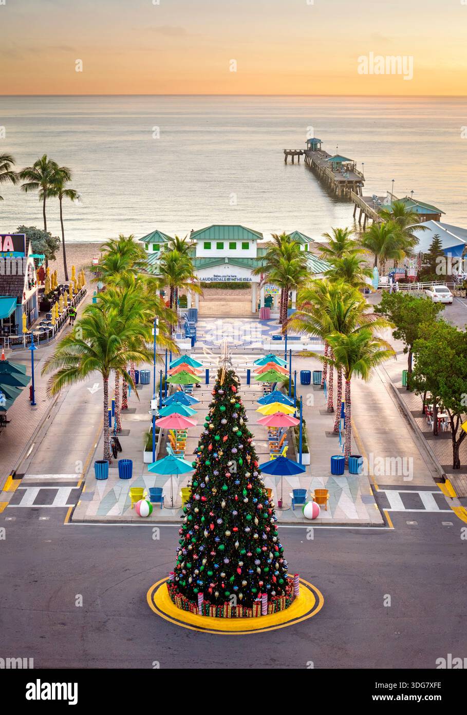 Aerial View of Lauderdale by the Sea, Decorated with a tall Christmas ...
