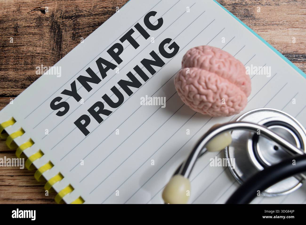 Synaptic connectivity hi-res stock photography and images - Alamy