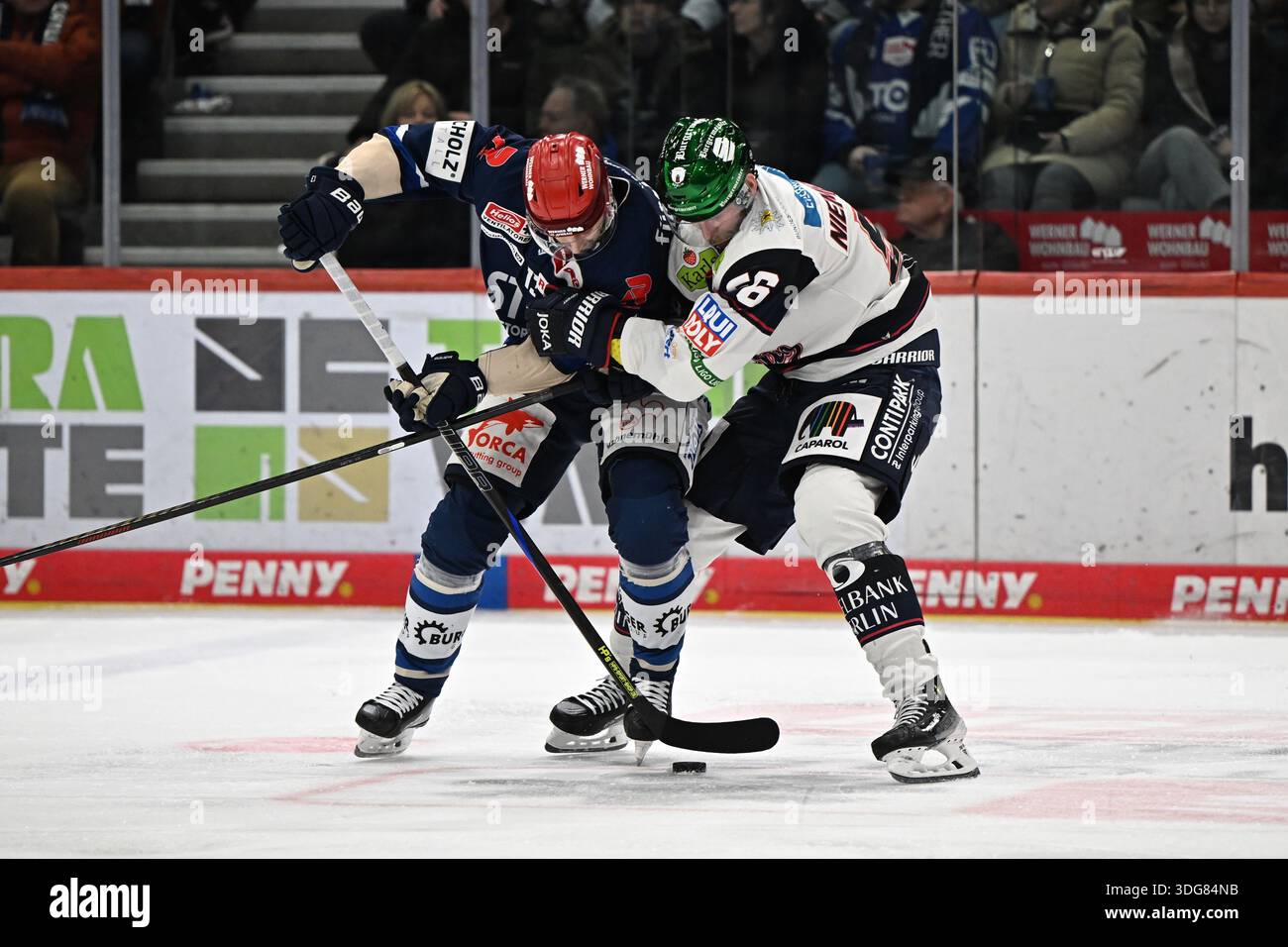 (v.l.n.r.) Felix Maegaard Scheel (Schwenninger Wild Wings) Markus ...
