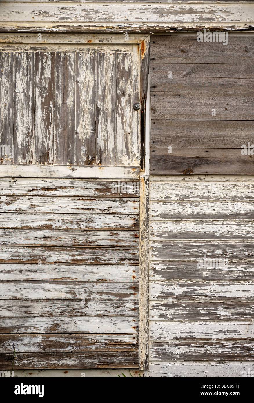 Abstract image of weathered wooden panels on an old garden shed with ...