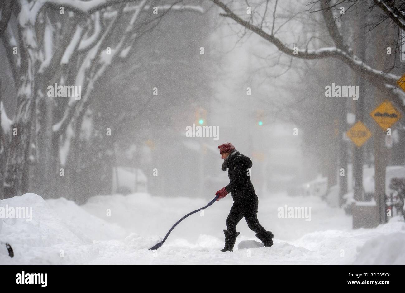 A woman works to clear heavy snow on her street in Toronto on Thursday ...