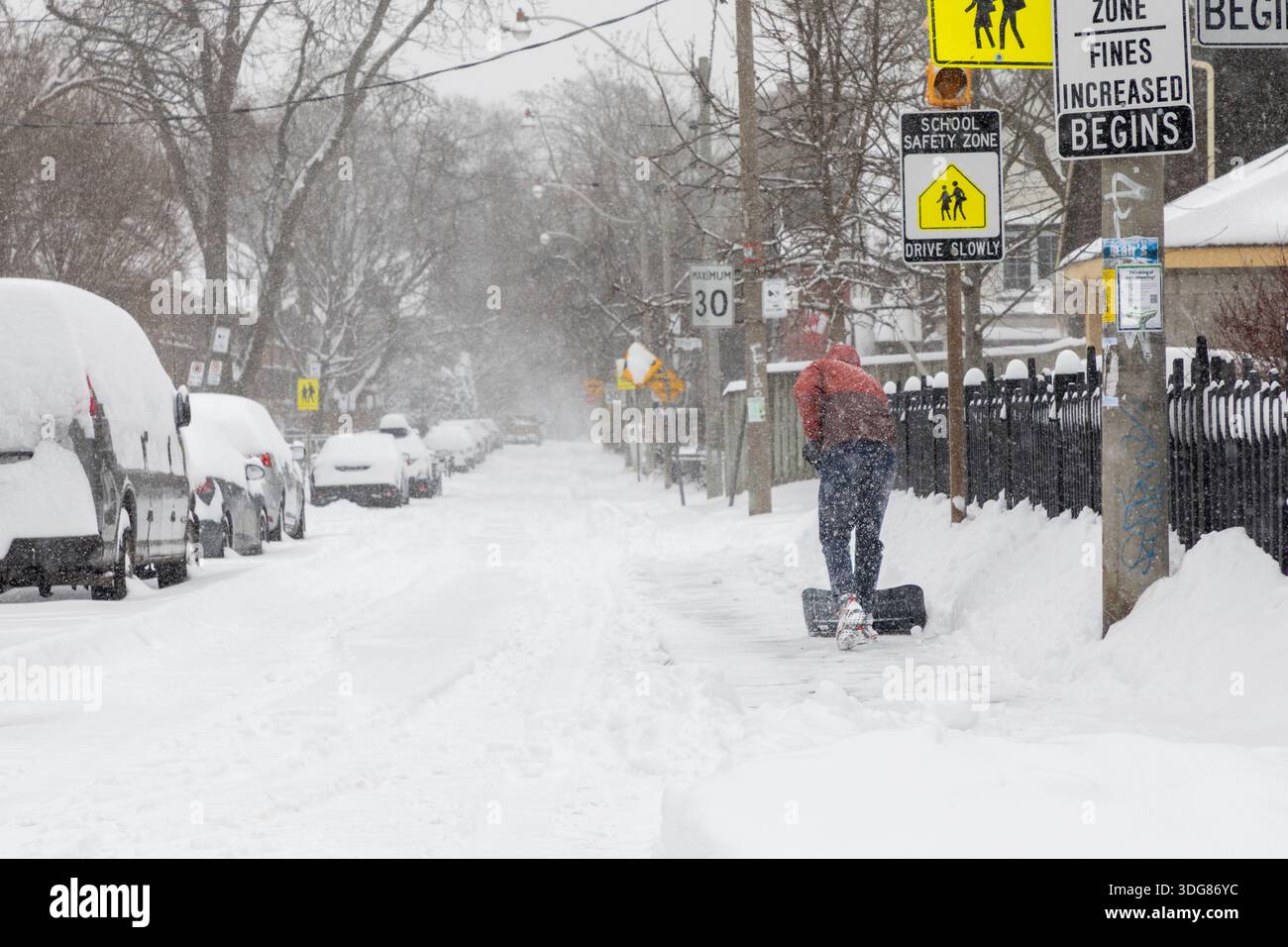 Toronto, Canada, 15th Jan 2026. A man shovels snow in downtown east ...