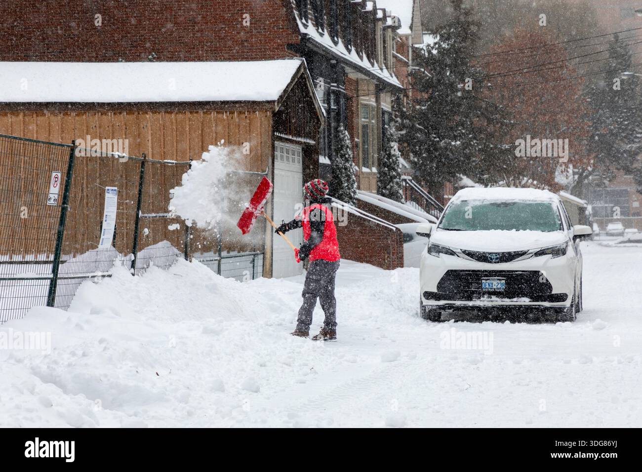 Toronto, Canada, 15th Jan 2026. A man shovels snow in downtown east ...