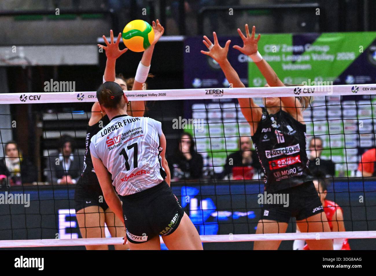 Lorena Lorber Fijok ( Dresdner SC 1898 Stock Photo - Alamy