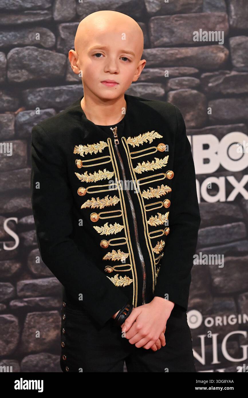Dexter Sol Ansell on the red carpet of the premiere Knight of the seven ...