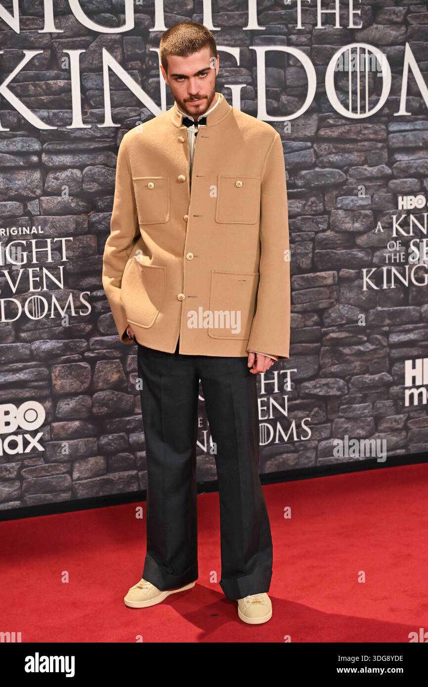 Lorenzo Zurzolo on the red carpet of the premiere Knight of the seven ...