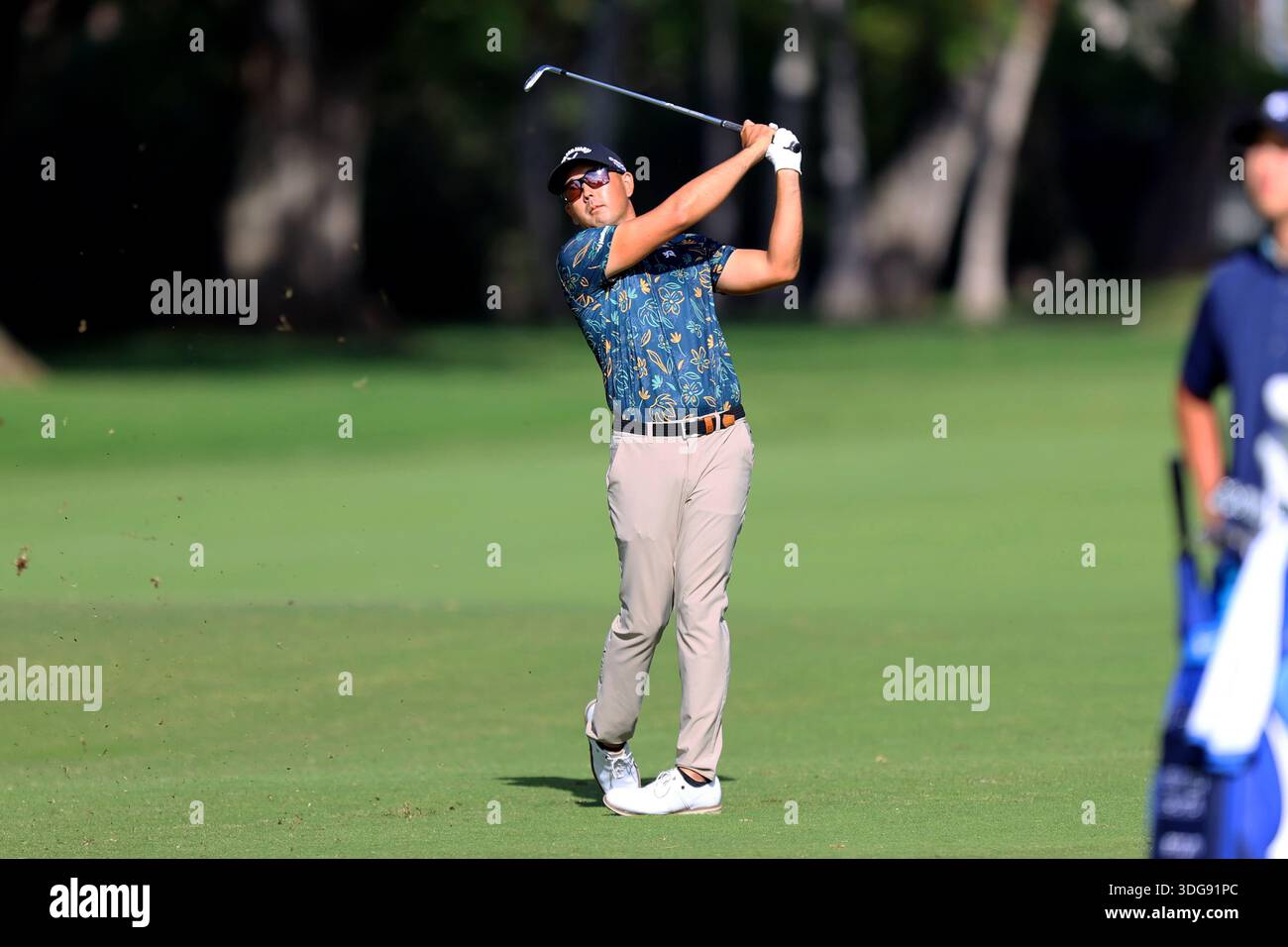 January 15, 2026 - Corey Kozuma hits from the 6th fairway during the ...