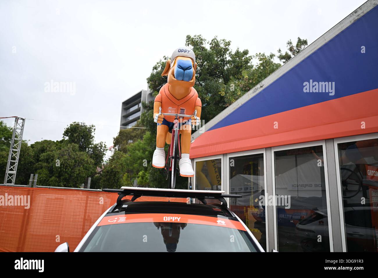 16-01-2026 Vigilia Tour Down Under 2026; Adelaide Stock Photo - Alamy