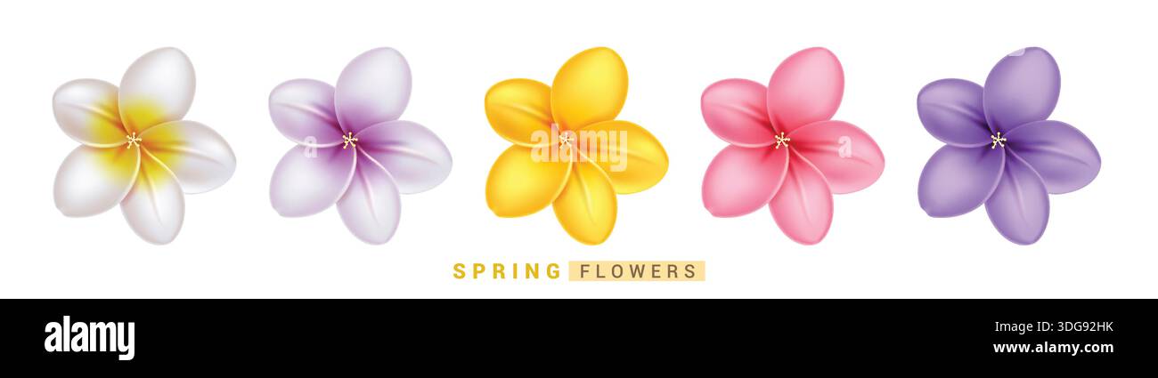 Spring Frangipani flowers set clipart design. Plumeria and Frangipani ...