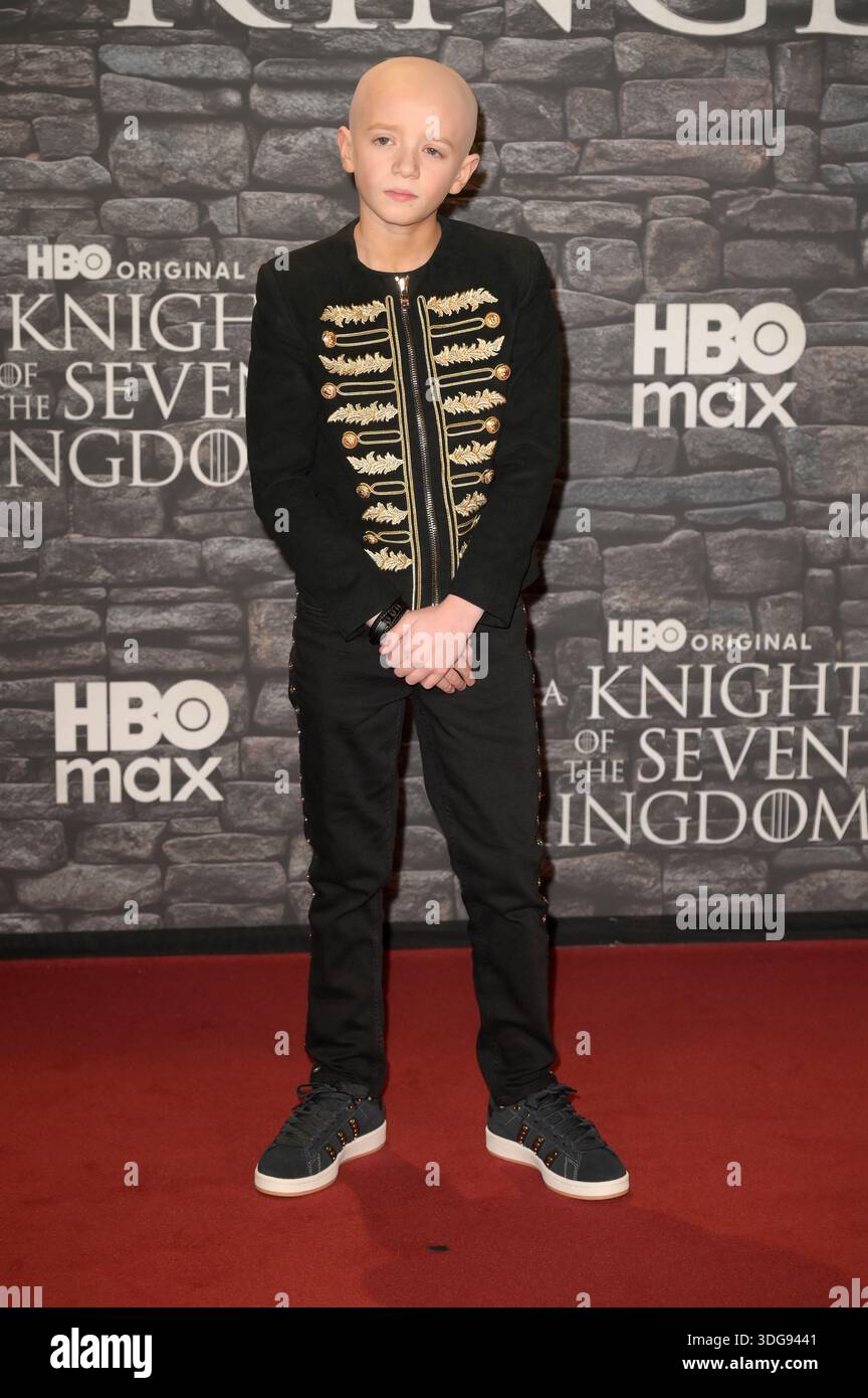 Dexter Sol Ansell attends the red carpet of HBOMax series A knight of ...