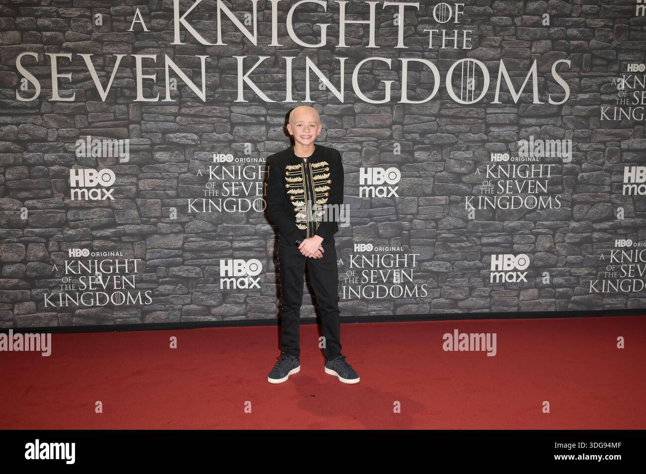 Dexter Sol Ansell attends the red carpet of HBOMax series A knight of ...