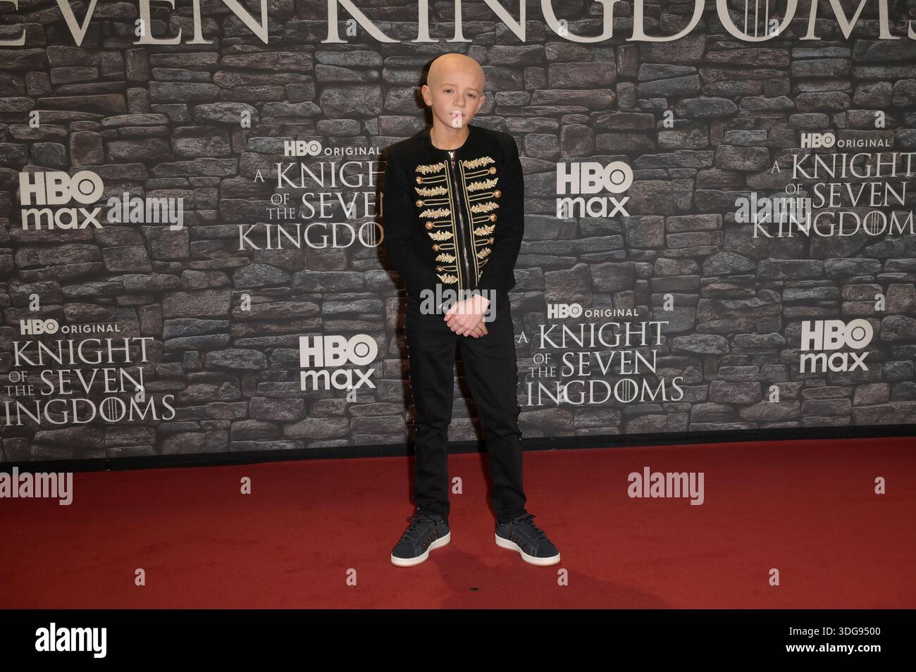 Dexter Sol Ansell attends the red carpet of HBOMax series A knight of ...