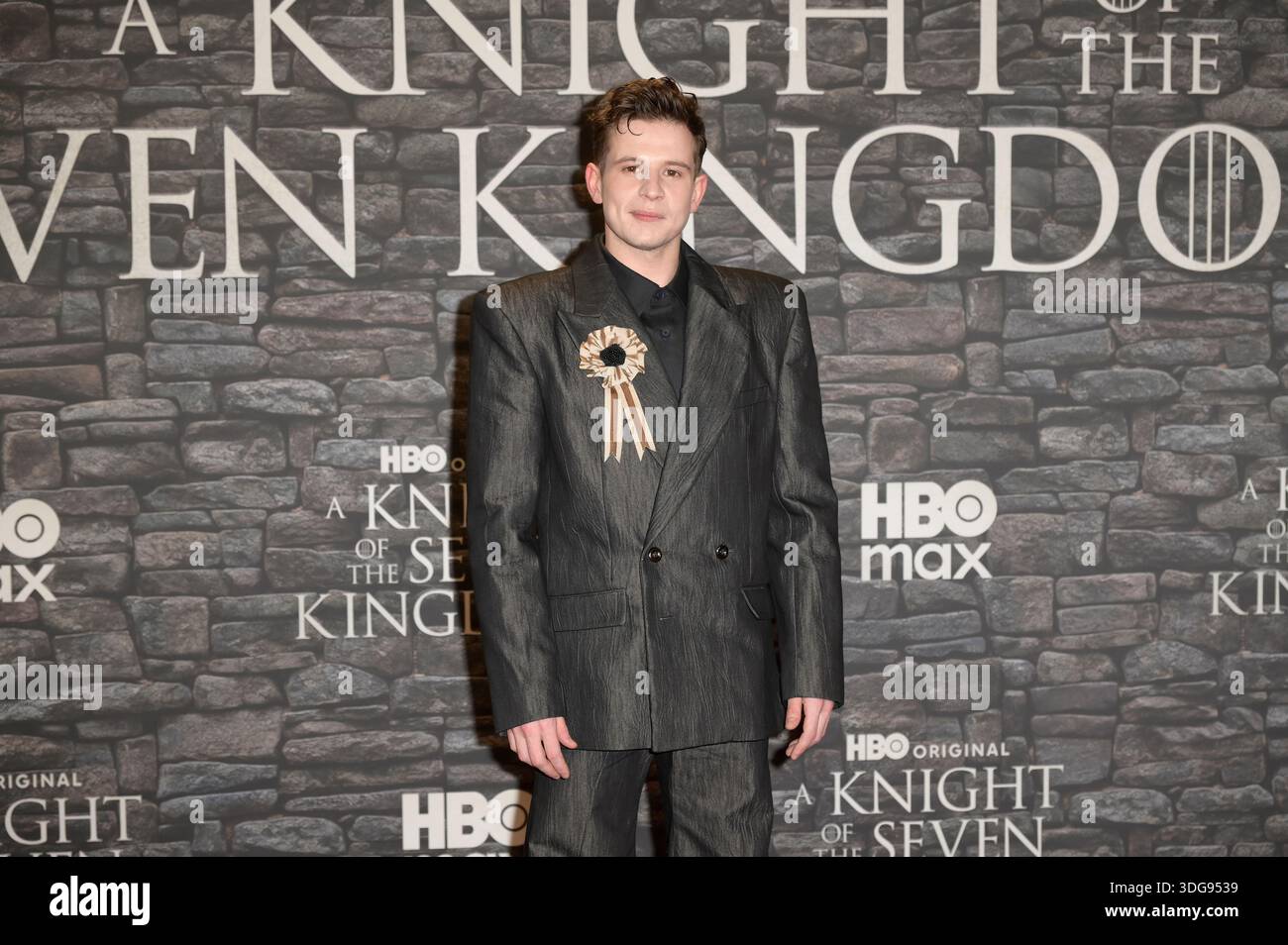 Shaun Thomas attends the red carpet of HBOMax series A knight of the ...