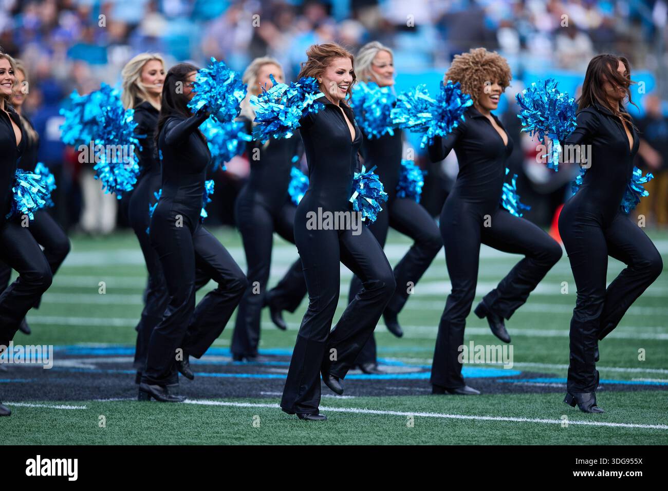 The Top Cats entertain the crowd prior to an NFL wild card playoff ...
