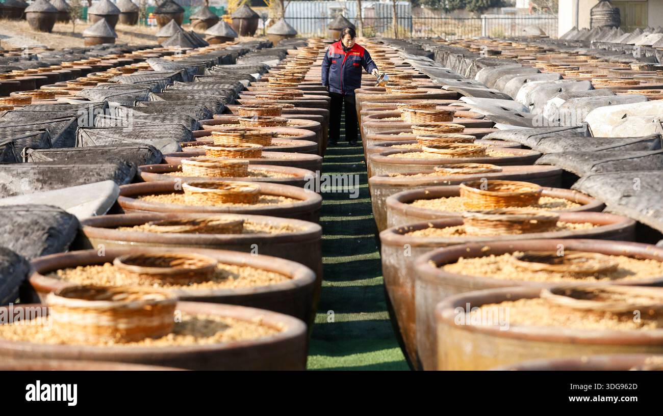 A worker checks the fermenting of sauce in the large vats at a ...