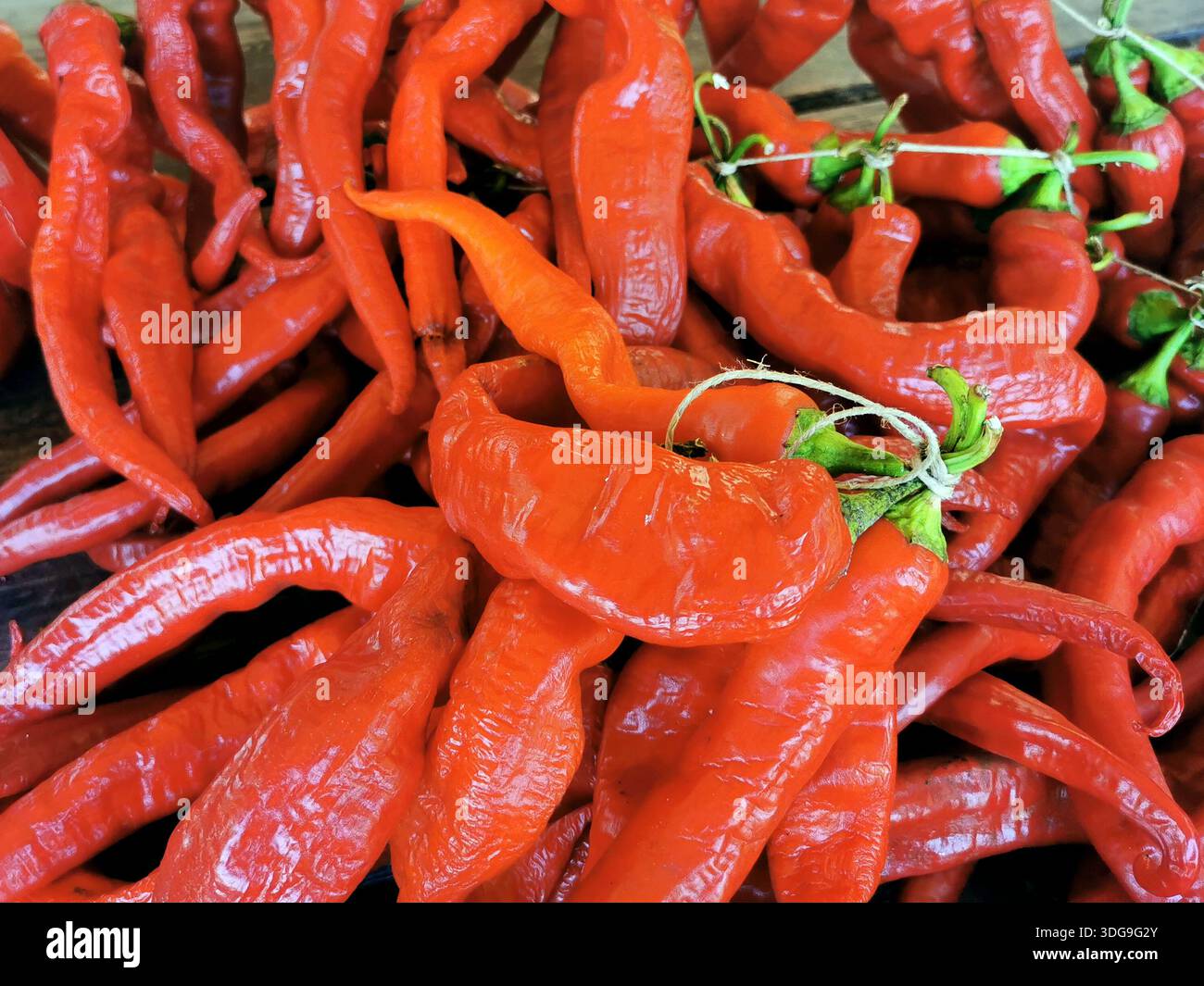 Chilli peppers herbs spices hi-res stock photography and images - Alamy