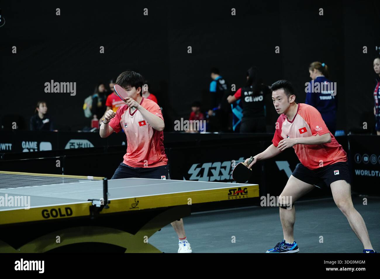 Table tennis players during the WTT Star Contender Doha 2026 which took ...
