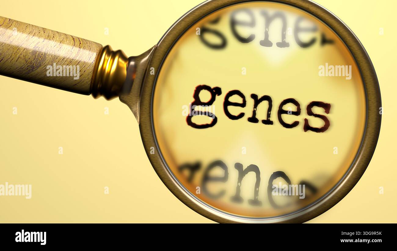 Genes and alleles hi-res stock photography and images - Alamy