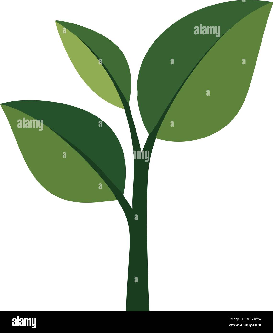 Three broad leaves Stock Vector Images - Alamy