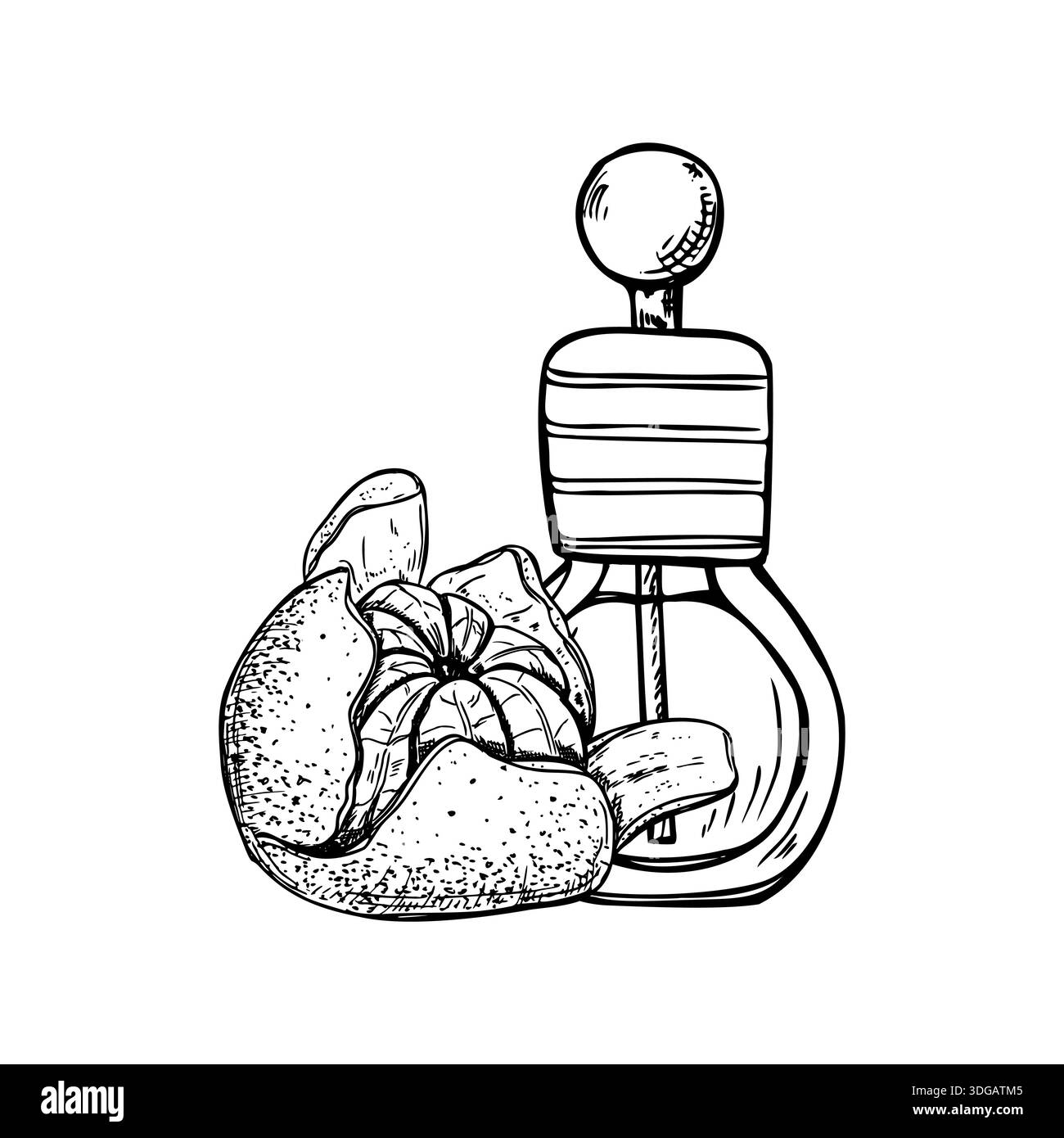 Citrus essential oil vitamin Stock Vector Images - Alamy