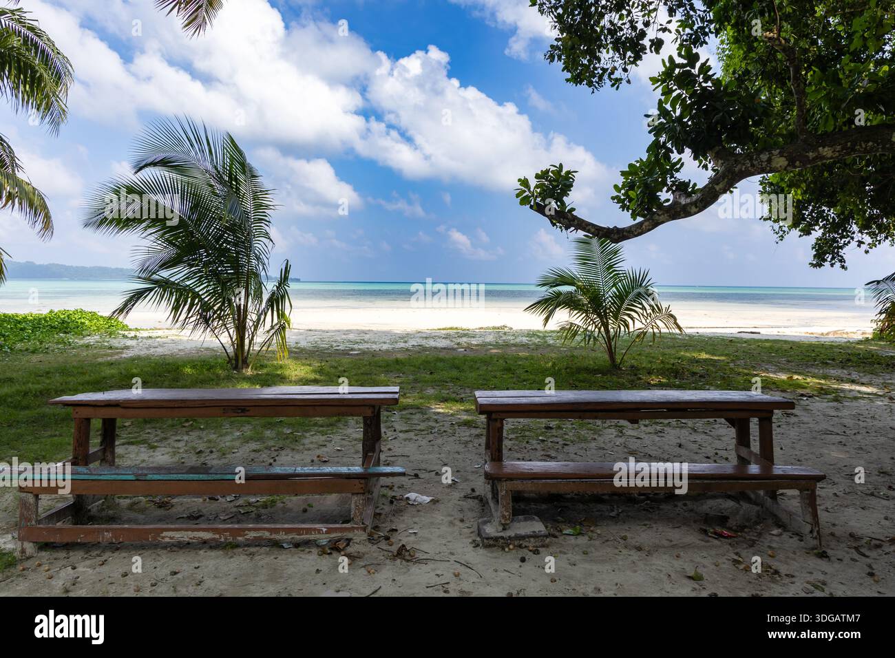 Empty beach benches under tree hi-res stock photography and images - Alamy