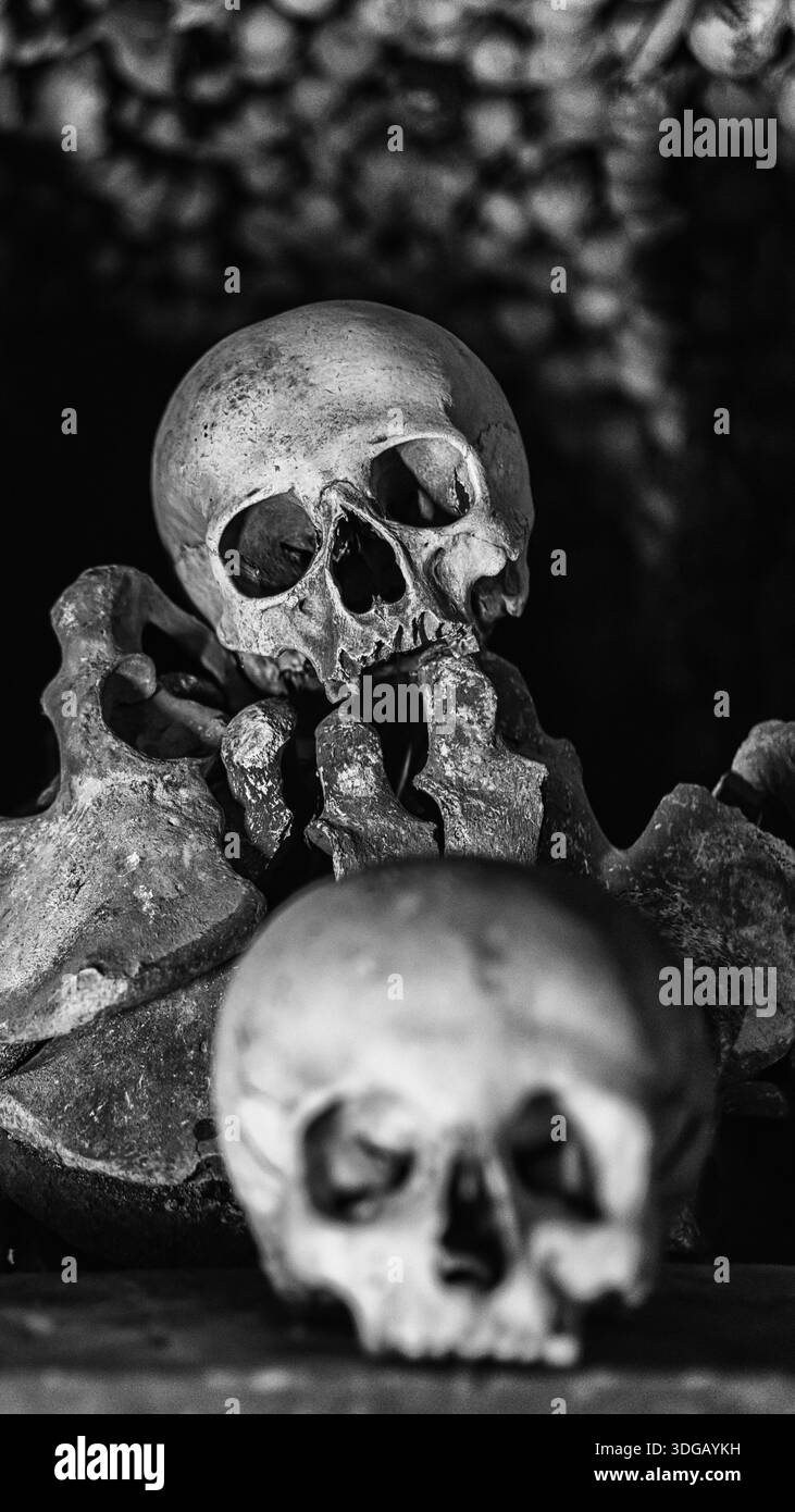 Remains skeletal Black and White Stock Photos & Images - Alamy