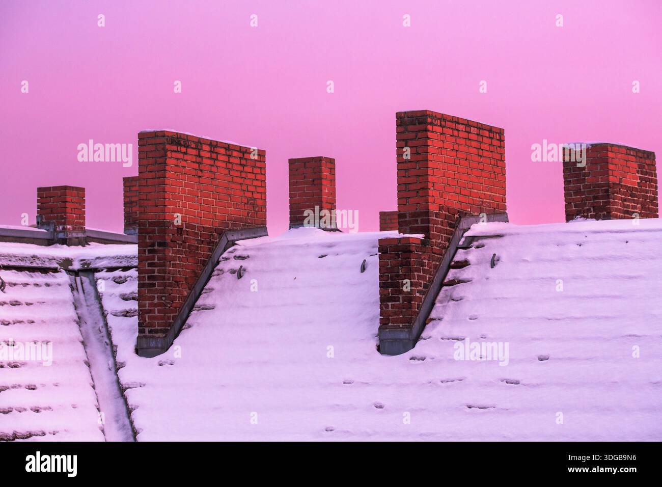 09 January 2026, Berlin: On a snow-covered rooftop, several brick ...