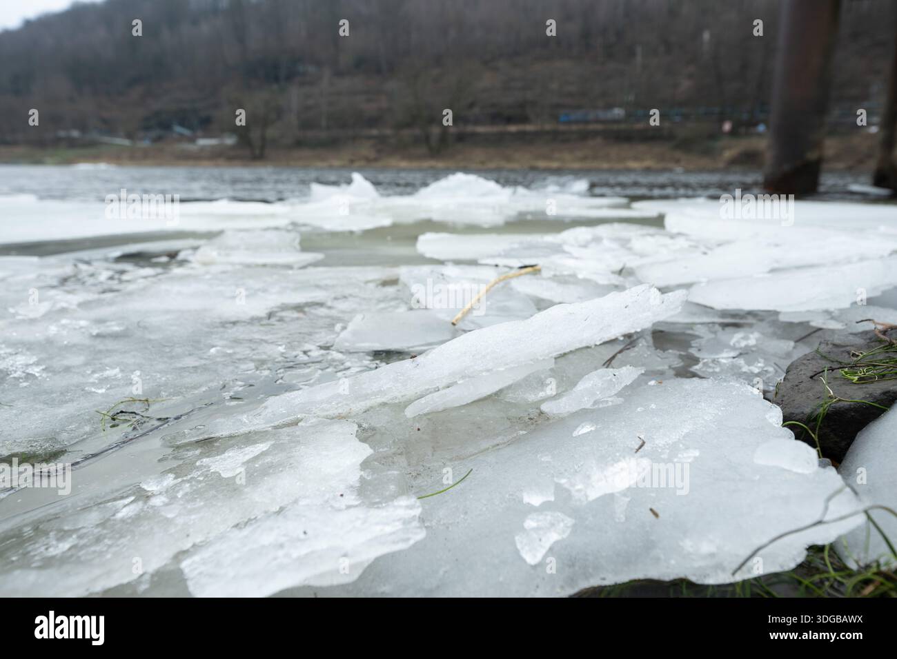 Bad Schandau, Germany. 16th Jan, 2026. Ice floes pile up on the banks ...