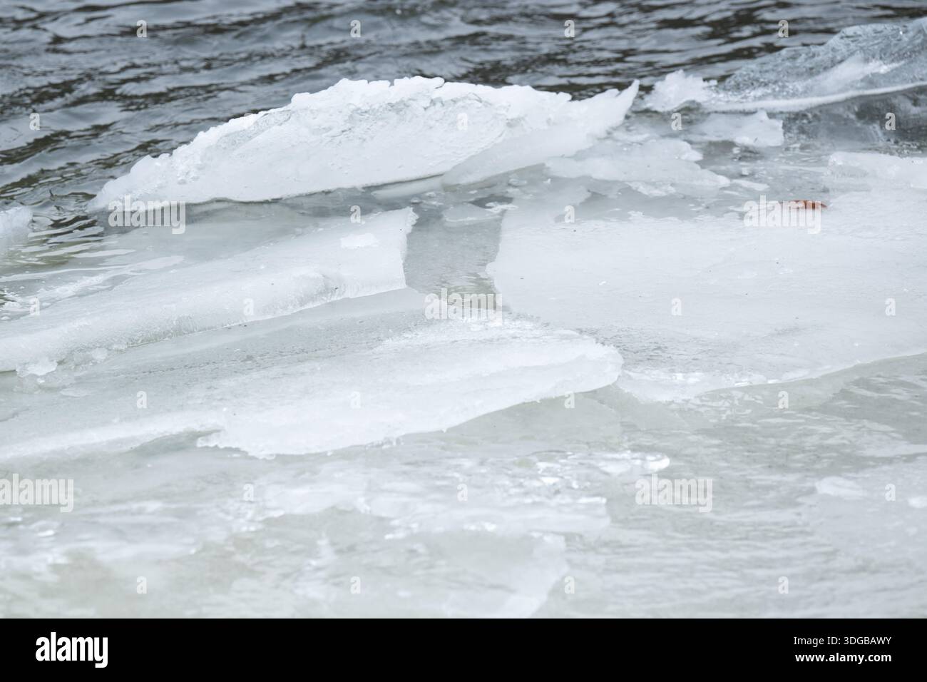 Bad Schandau, Germany. 16th Jan, 2026. Ice floes pile up on the banks ...