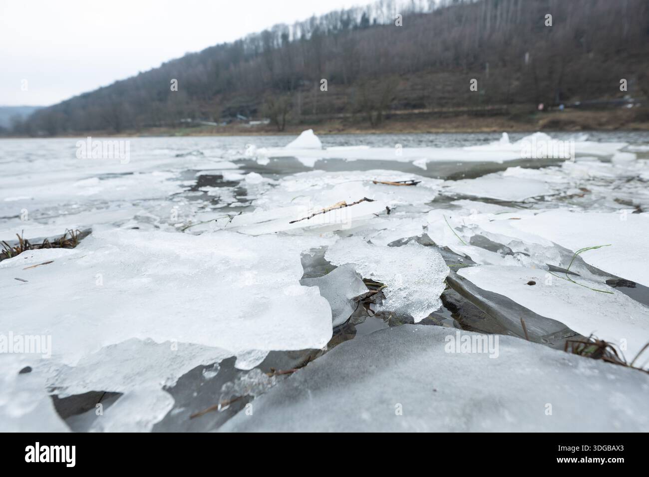 Bad Schandau, Germany. 16th Jan, 2026. Ice floes pile up on the banks ...
