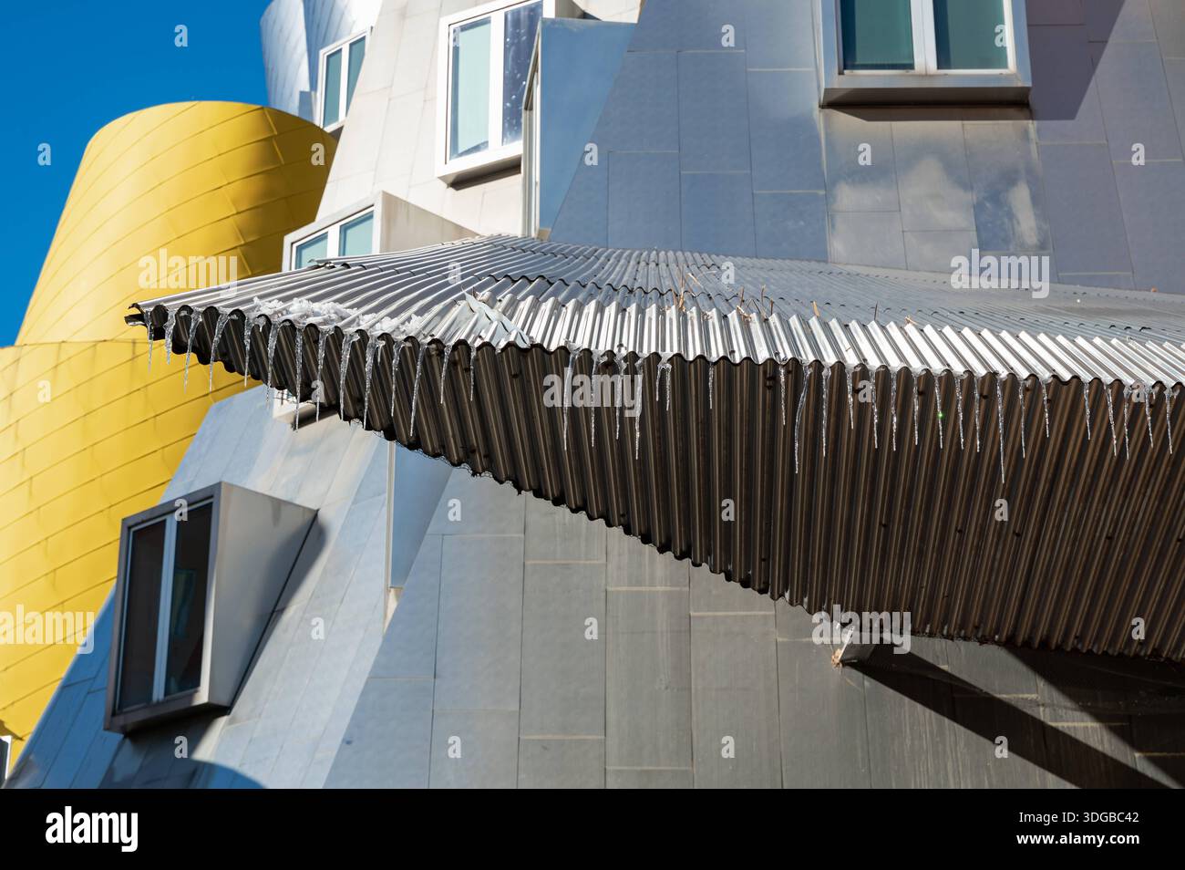 15.12.2025, Boston, Massachusetts, Vereinigte Staaten USA ...