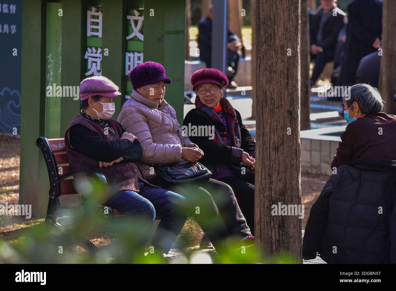 Fuyang City, China. 16th Jan, 2026. Four elderly women sit on benches ...
