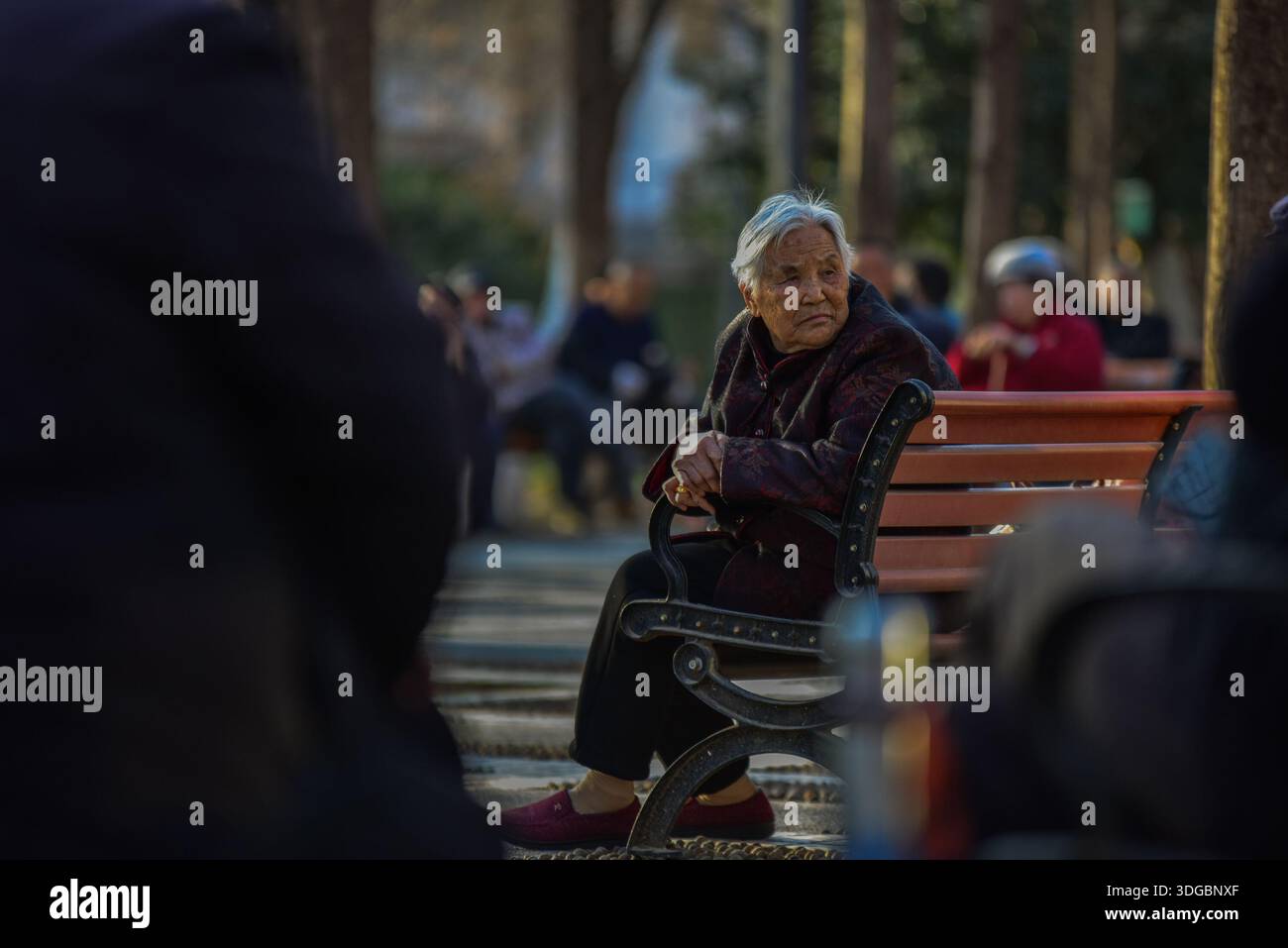 Fuyang City, China. 16th Jan, 2026. An elderly woman sits alone on a ...