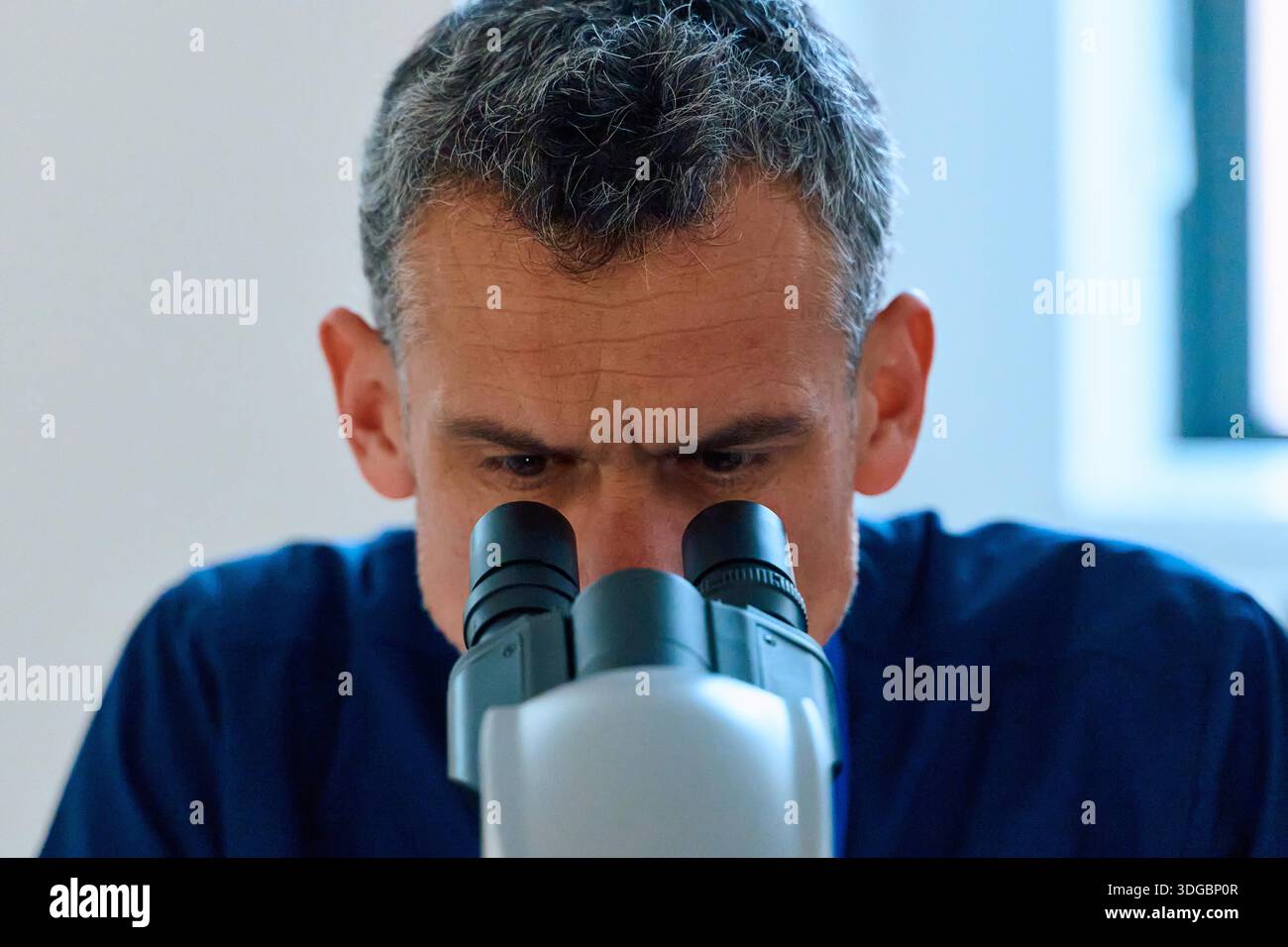 A microscopist focuses intently on a sample through a microscope in a ...