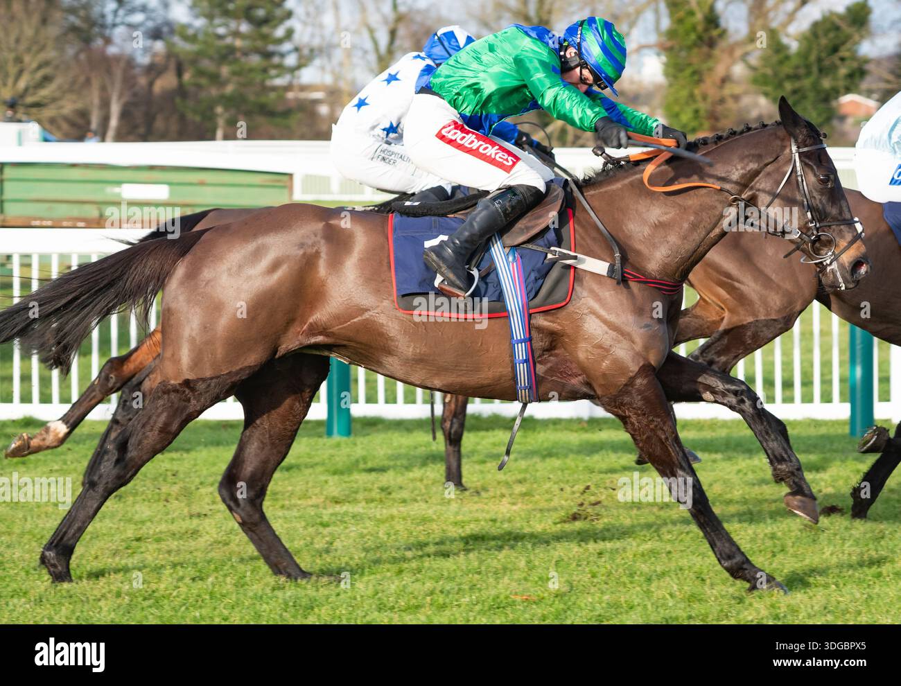 Windsor, UK, Friday 16th January 2026; Bluey and jockey Ben Jones win ...