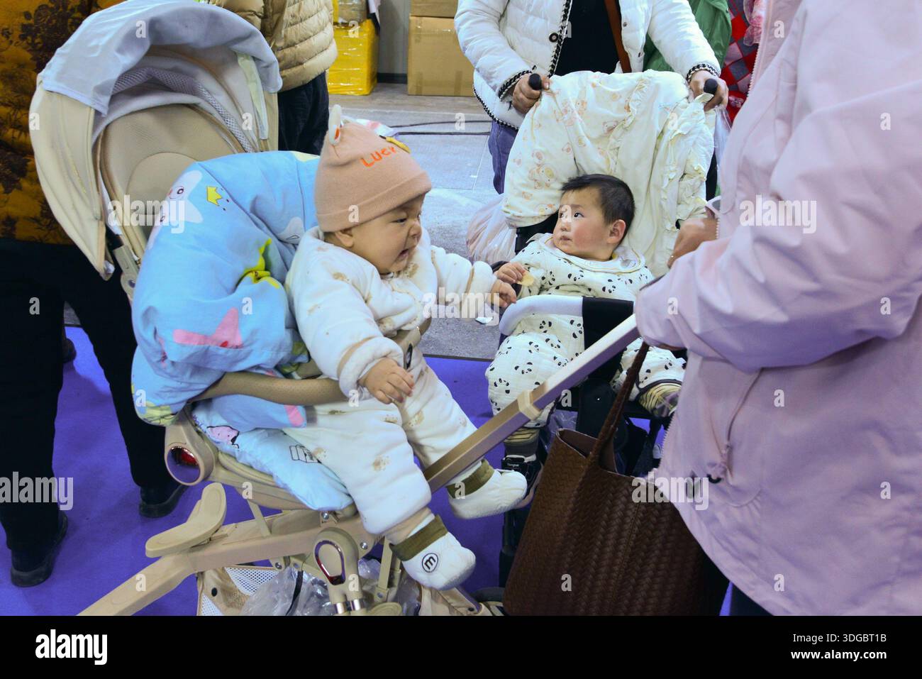 Fuyang City, China. 16th Jan, 2026. Two babies in strollers interact ...
