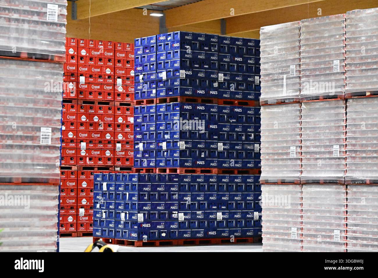 Alken, Belgium. 16th Jan, 2026. Pallets of Maes crates of beers ...