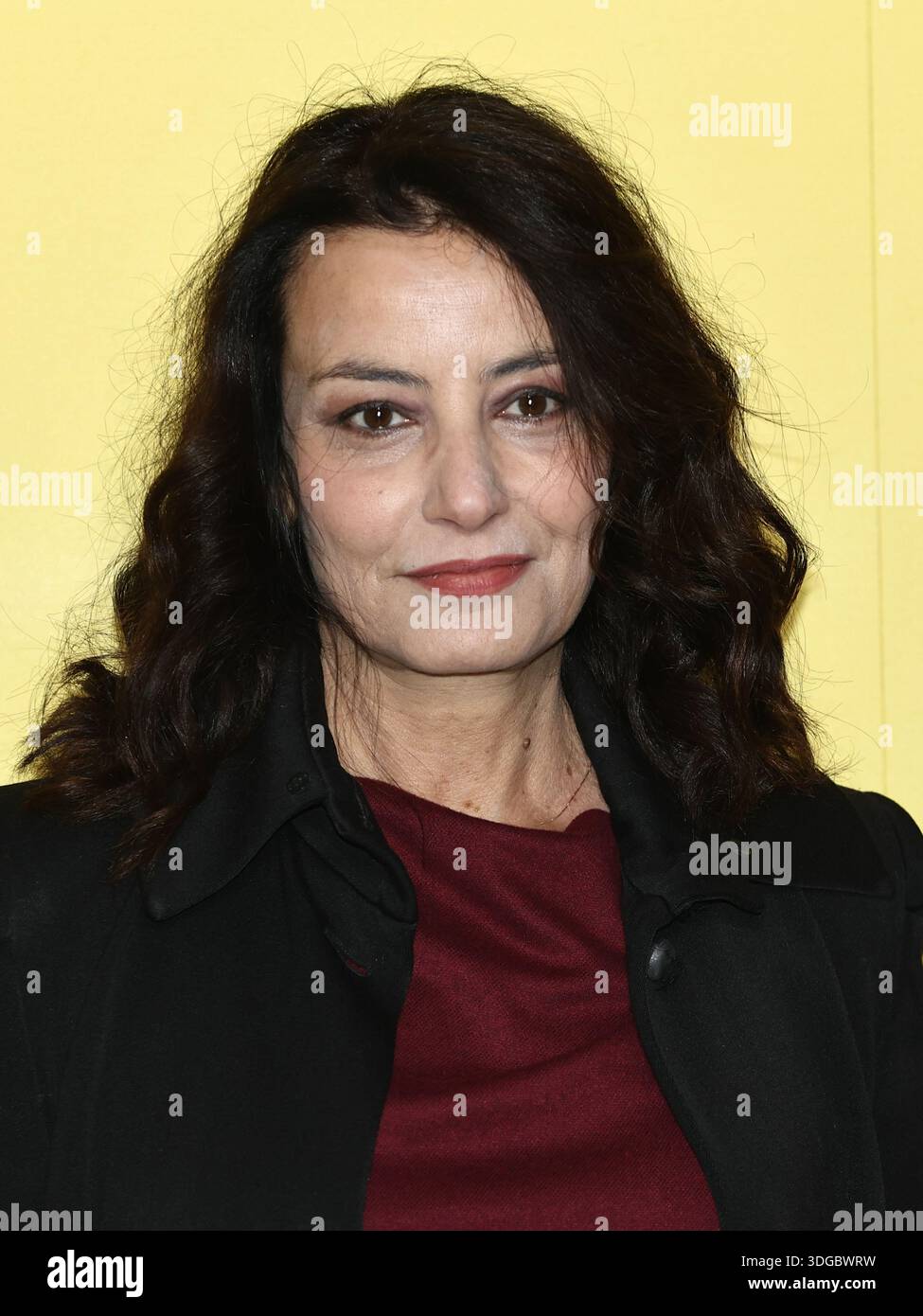 Rome, Italy. 16th Jan, 2026. Rome, Adriano Cinema, photocall for the ...