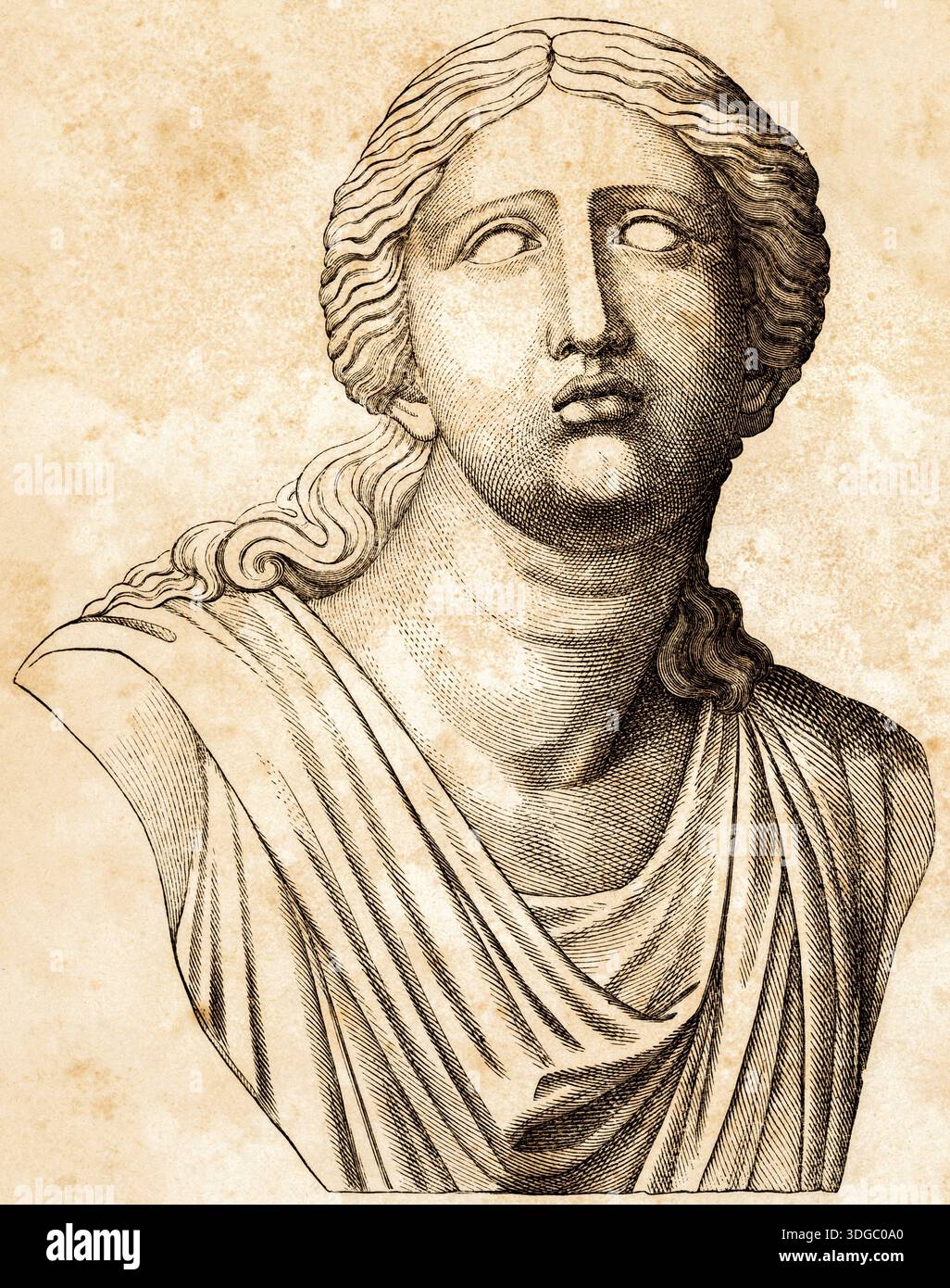 Bust of Niobe, Greek mythology, wife of the Theban king Amphion ...