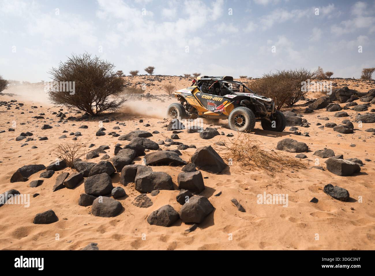 Bisha, Saudi Arabia. 15th Jan, 2026. 2026 Dakar Rally, Stage Eleven ...